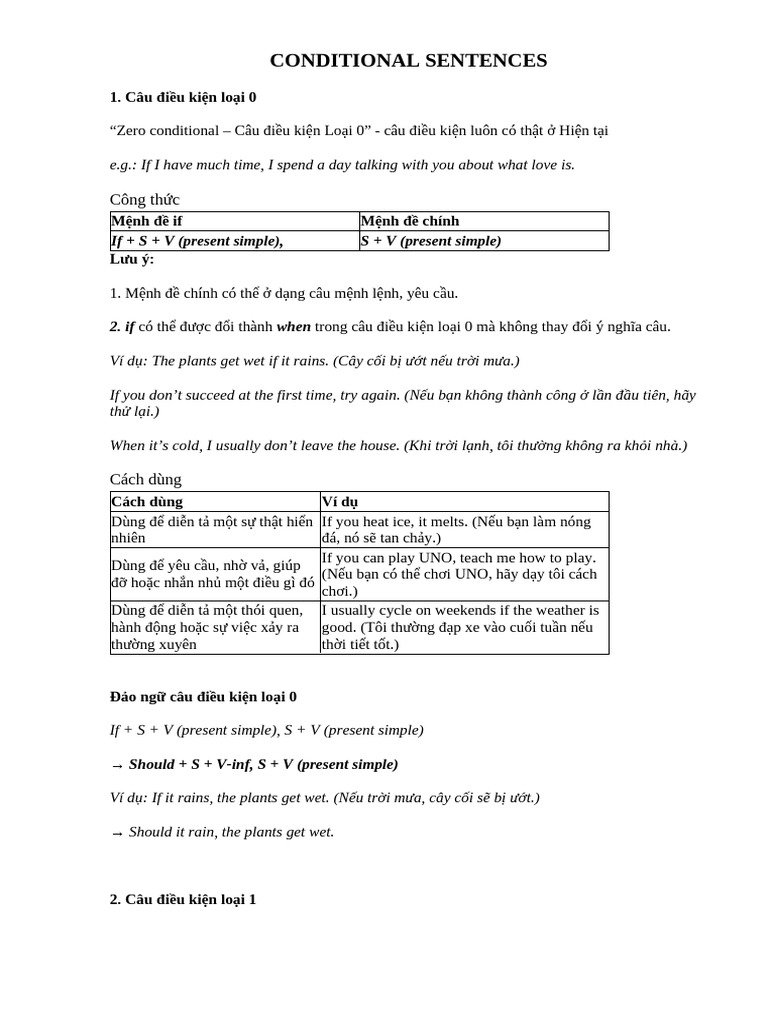 Conditional Sentences | PDF