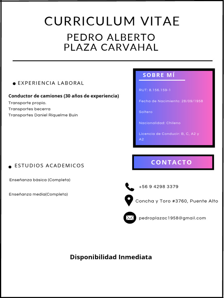 Currículum de Conductor Experto en Chile | PDF