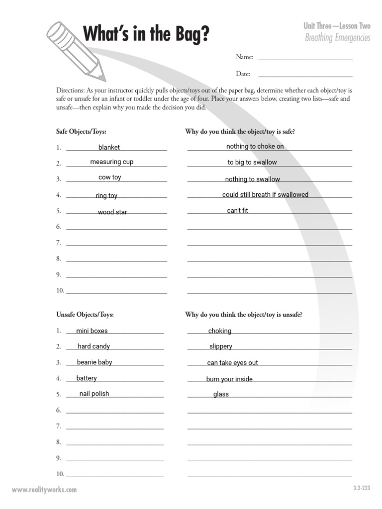 Skyleen Phillips - STudent What's in The Bag - Pdf.kami | PDF | Toys | Human Development