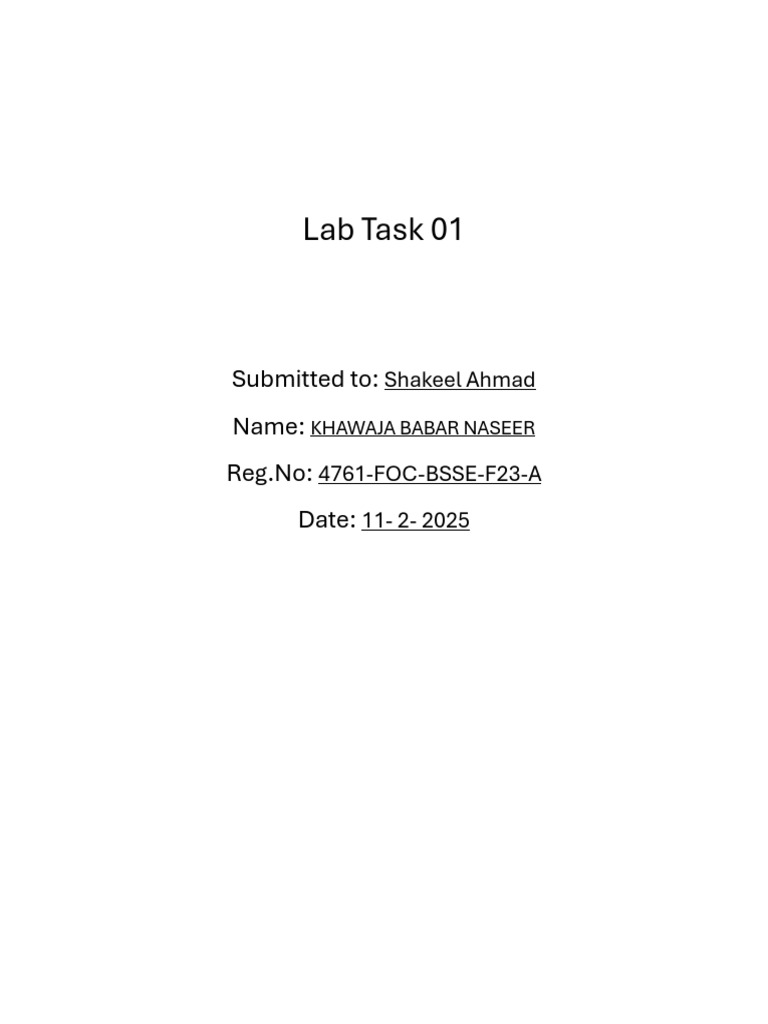 4737 - Babar - Lab-Task-01 | PDF | Integer (Computer Science) | Pointer (Computer Programming)