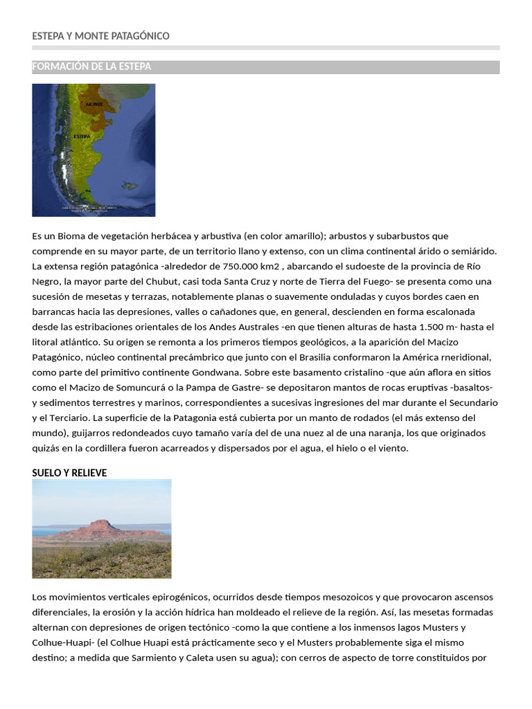 Bioma de Estepa y Monte Patagónico | PDF | Clima | Depredación