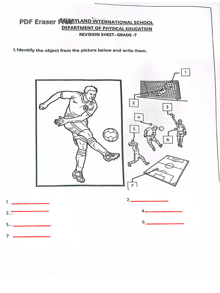Pe Revision Sheet Without Answers | PDF