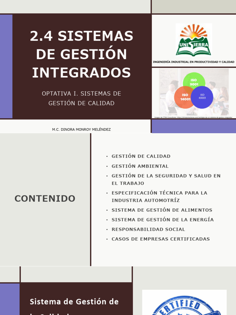 2_4 SGI | PDF | Análisis de Riesgo y Puntos Críticos de Control