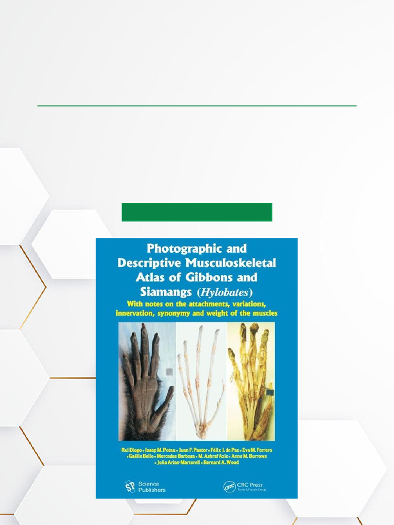 Photographic and Descriptive Musculoskeletal Atlas of Gibbons and ...