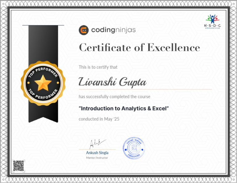 Certificate Intro To Analytics & Excel | PDF