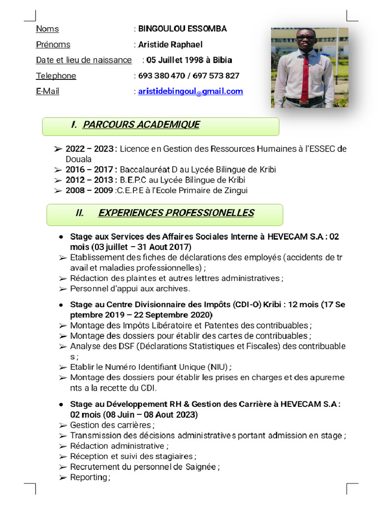 Raph Le Bingoul CV - Phoenix | PDF