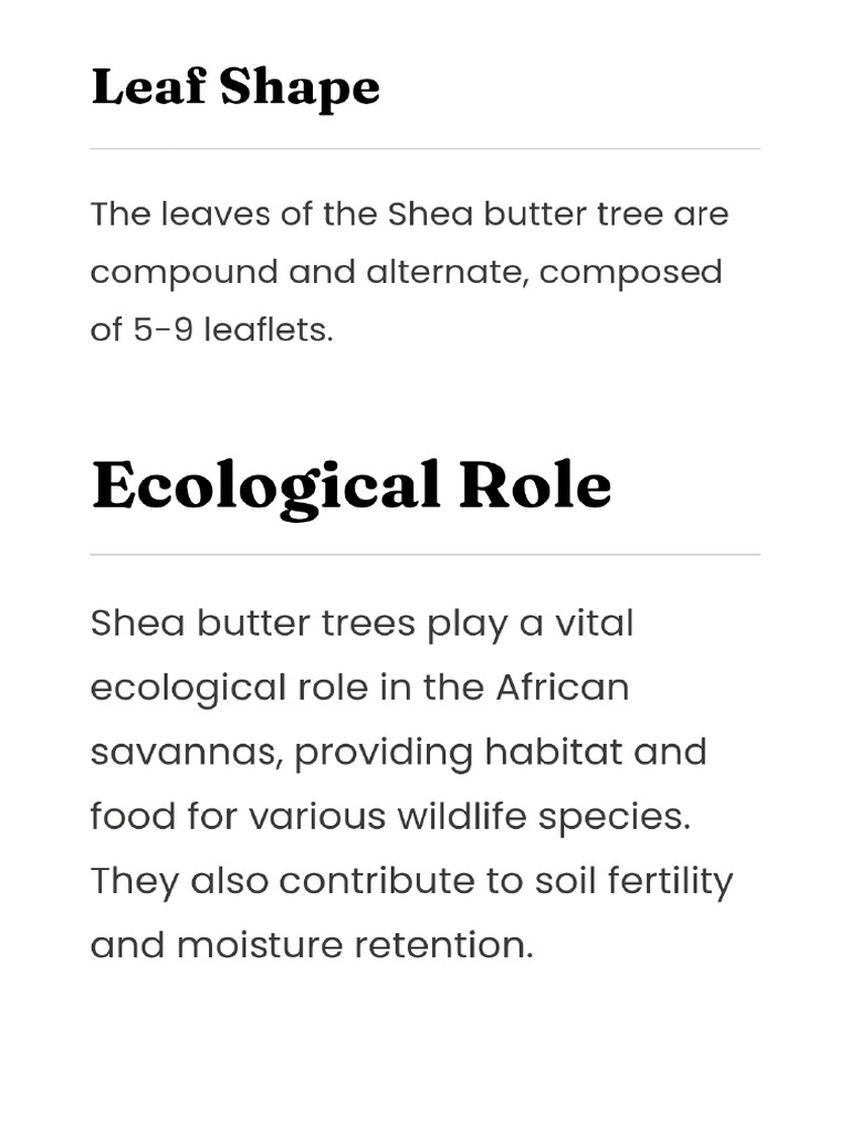 Shea Butter Tree | PDF