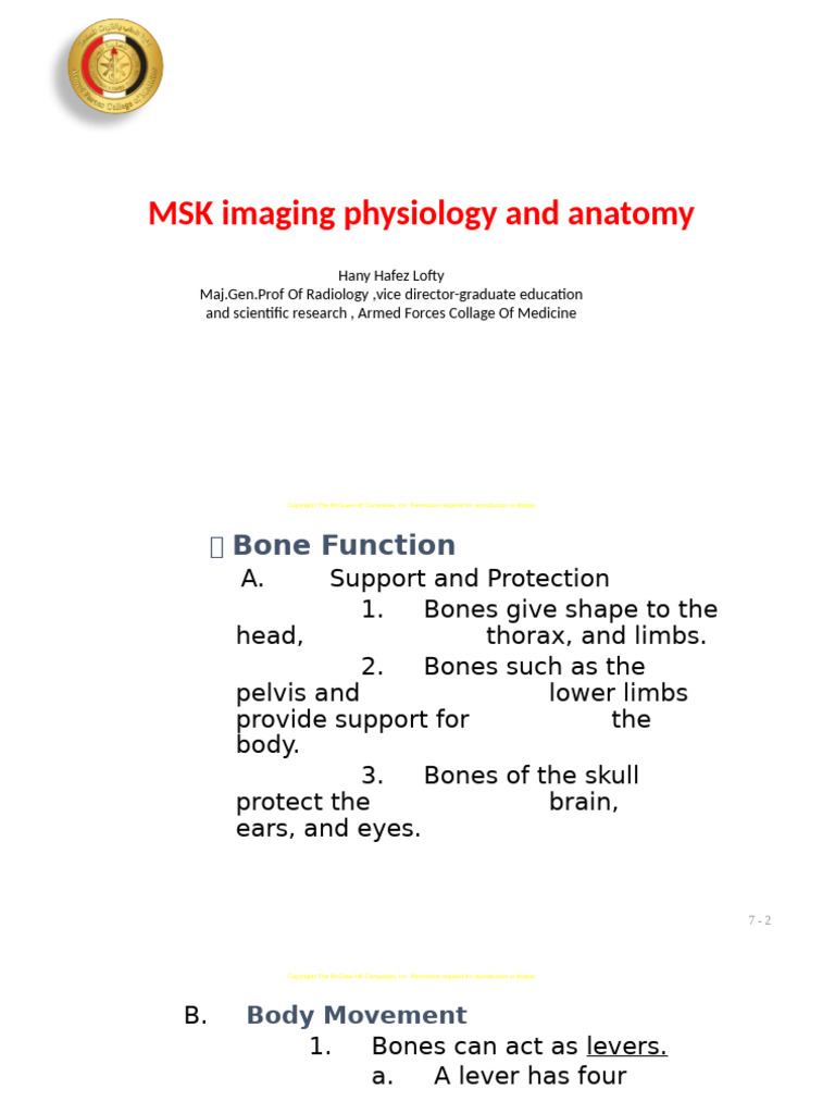 MSK Imaging: Anatomy & Physiology | PDF | Bone | Bone Marrow