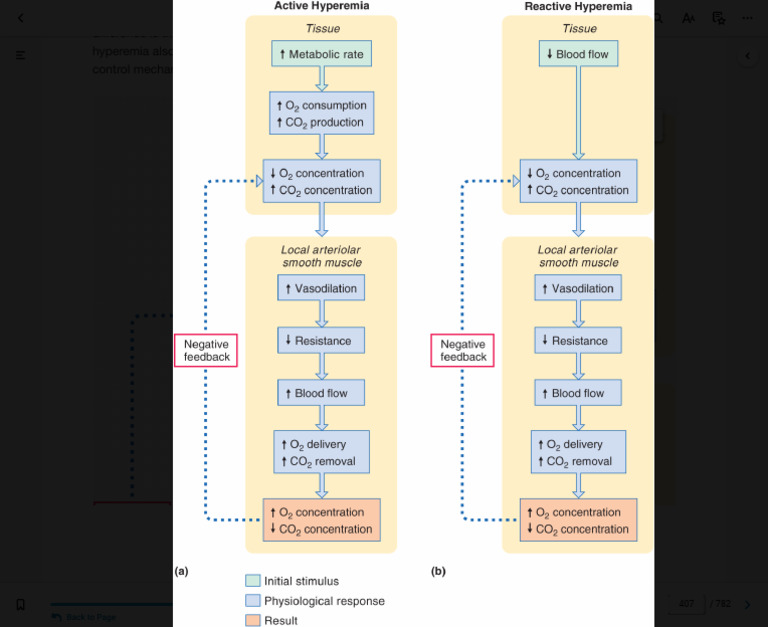 VitalSource Bookshelf Principles of Human Physio | PDF