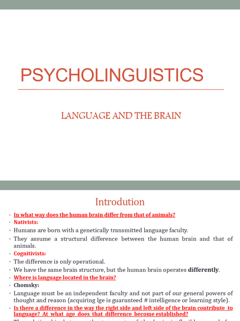 Language and The Human Brain - Part 1 | PDF | Aphasia | Cerebral Hemisphere
