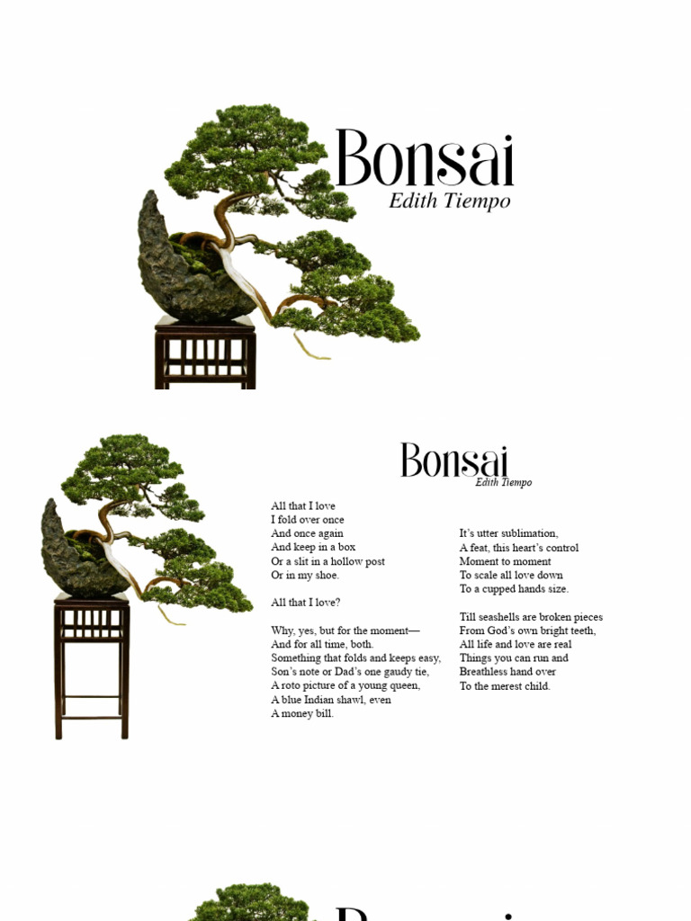 GROUP 3 Bonsai by Edith Tiempo | PDF | Love | Narration