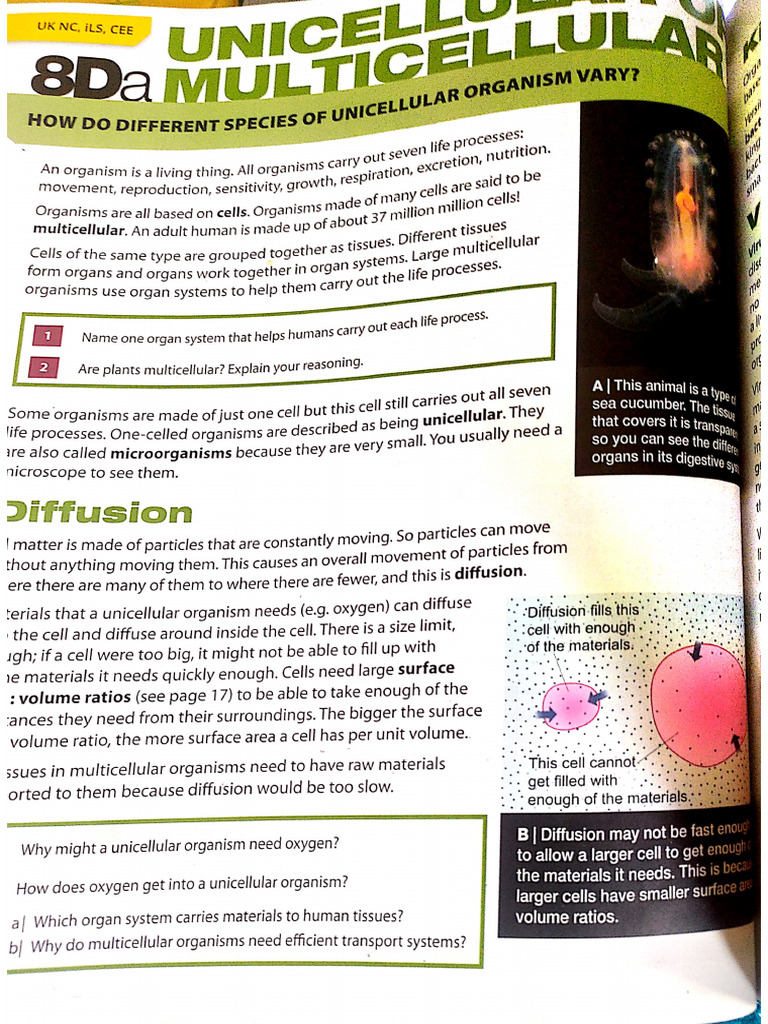 Biology - Uni & Multi Cellular | PDF
