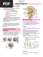 Persistencia del Conducto Onfalomesentérico | PDF | Anatomía ...