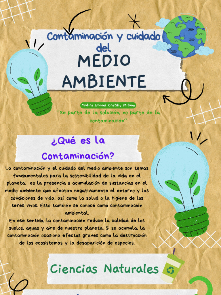 Cuidado del Medio Ambiente y Contaminación | PDF | Contaminación ...
