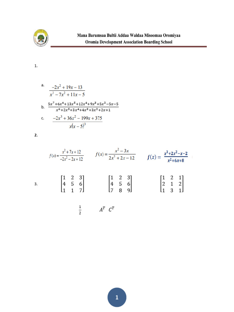 2017 First Semester Grade 11 Mathematics Assignment DT | PDF