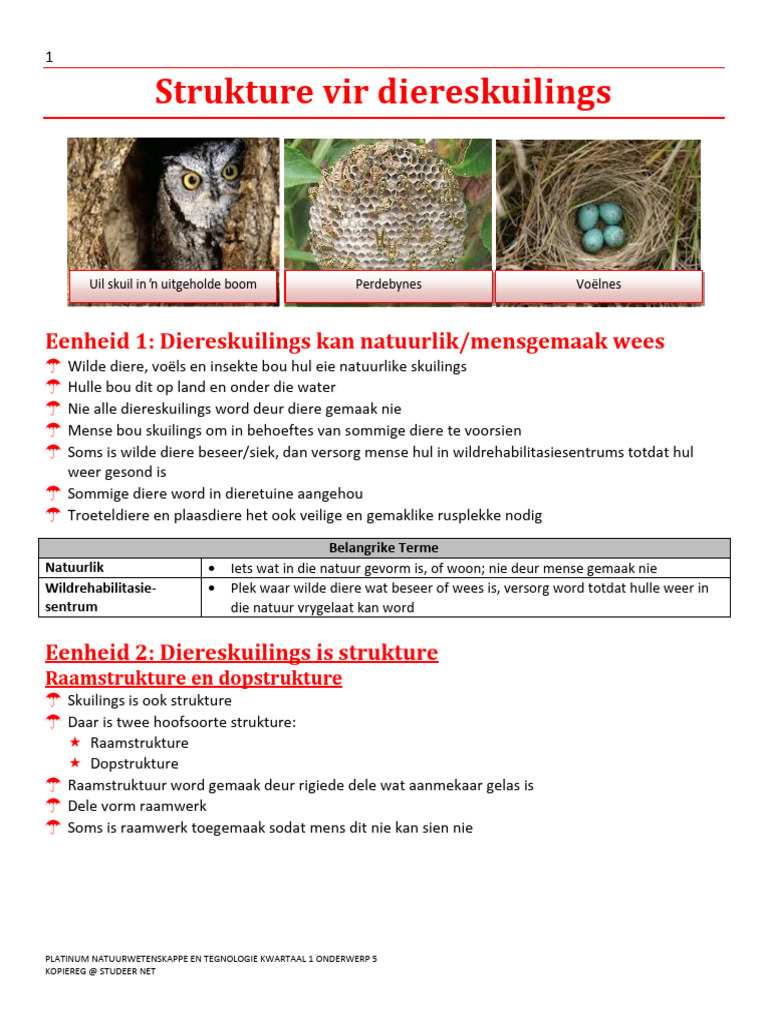 Graad 4 NWT Kwartaal 2 Strukture Vir Diereskuilings | PDF