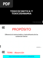 Toxicocinética y Toxicodinamia | PDF | Toxicidad | Excreción
