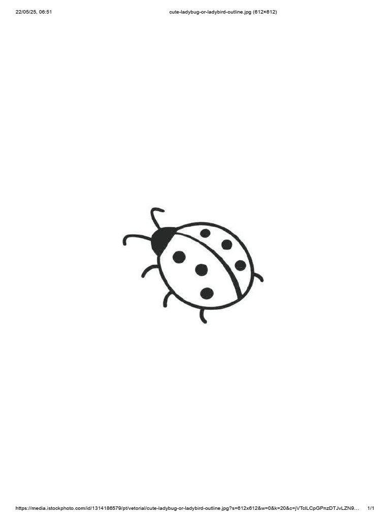 cute-ladybug-or-ladybird-outline | PDF