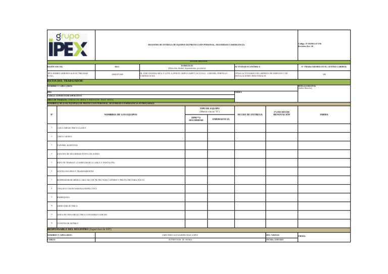 03 Registro de Entrega de EPP - IPEX | PDF