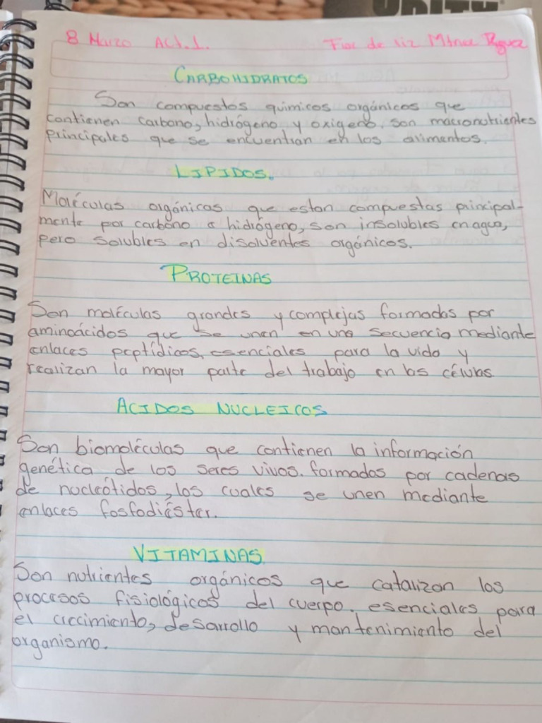 Flor de Liz Martínez Rodríguez | PDF