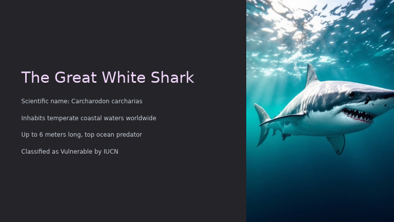 The Great White Shark | PDF