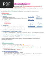 Guide Clinique de l'Intertrigo | PDF | Candida | Dermatite