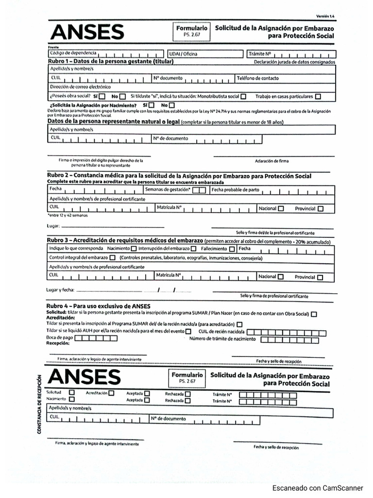 Formulario ANSES | PDF
