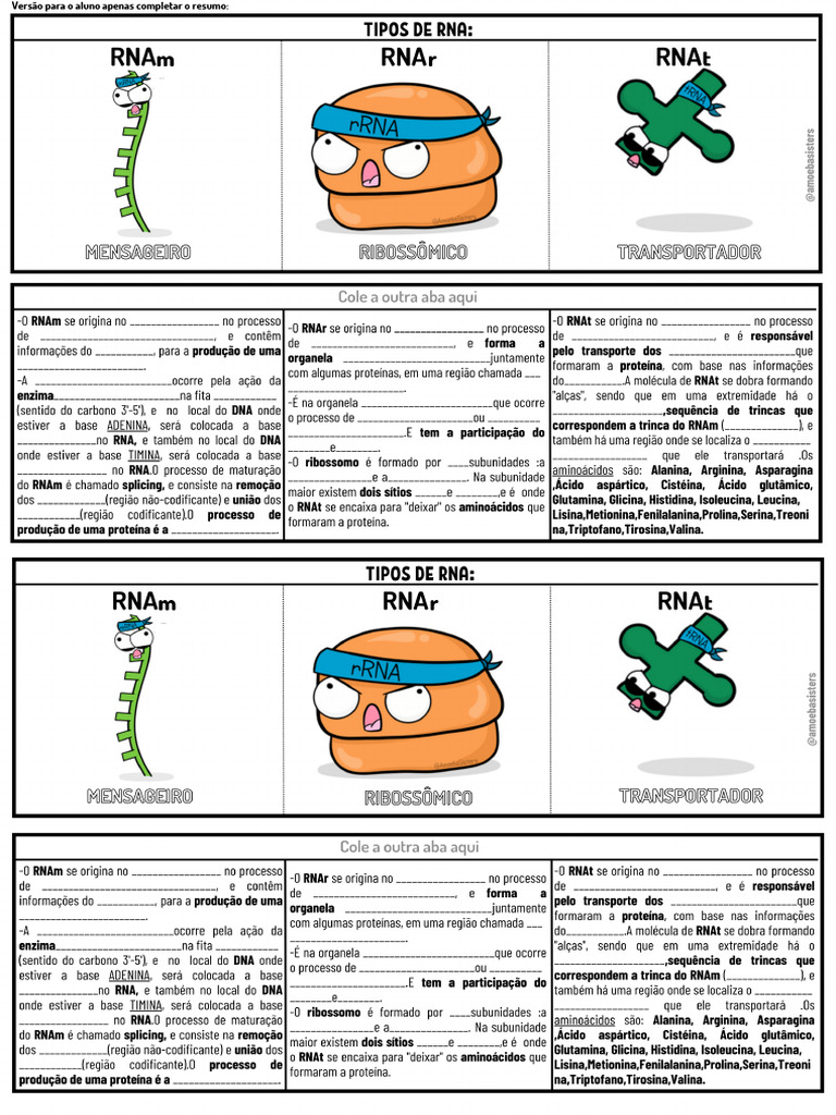 Tipos de RNA Interativo | PDF