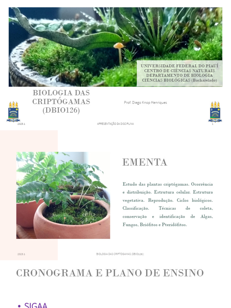 Biologia das Criptógamas: Ementa e Avaliações | PDF | Biologia