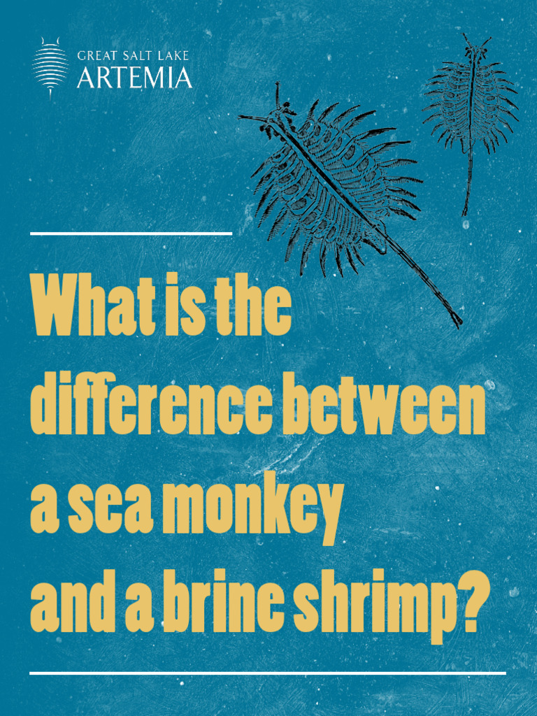 Sea Monkey Day | PDF