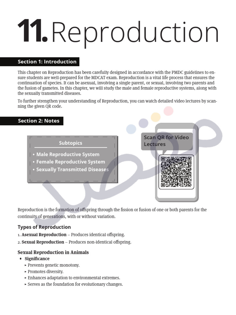 MDCAT Reproduction Study Guide | PDF | Menstrual Cycle | Ovary