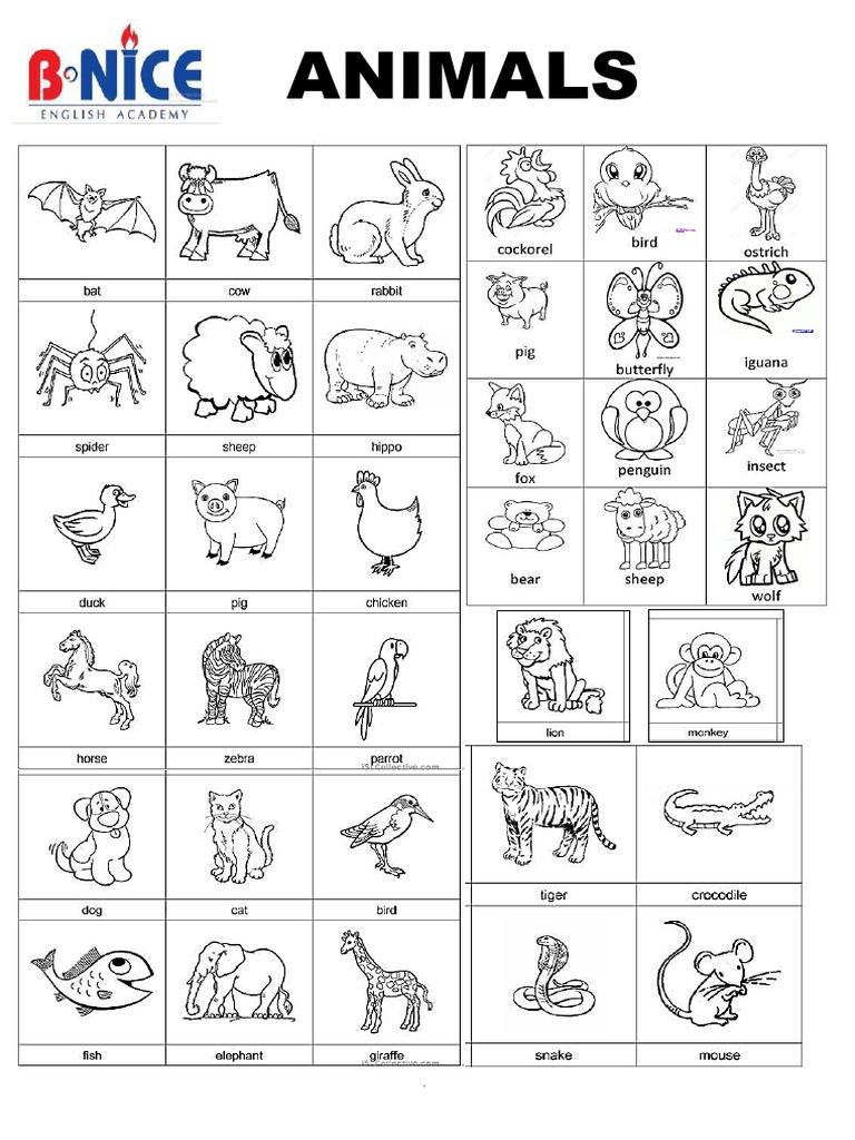 4TH C Miguel Grau-Animals | PDF