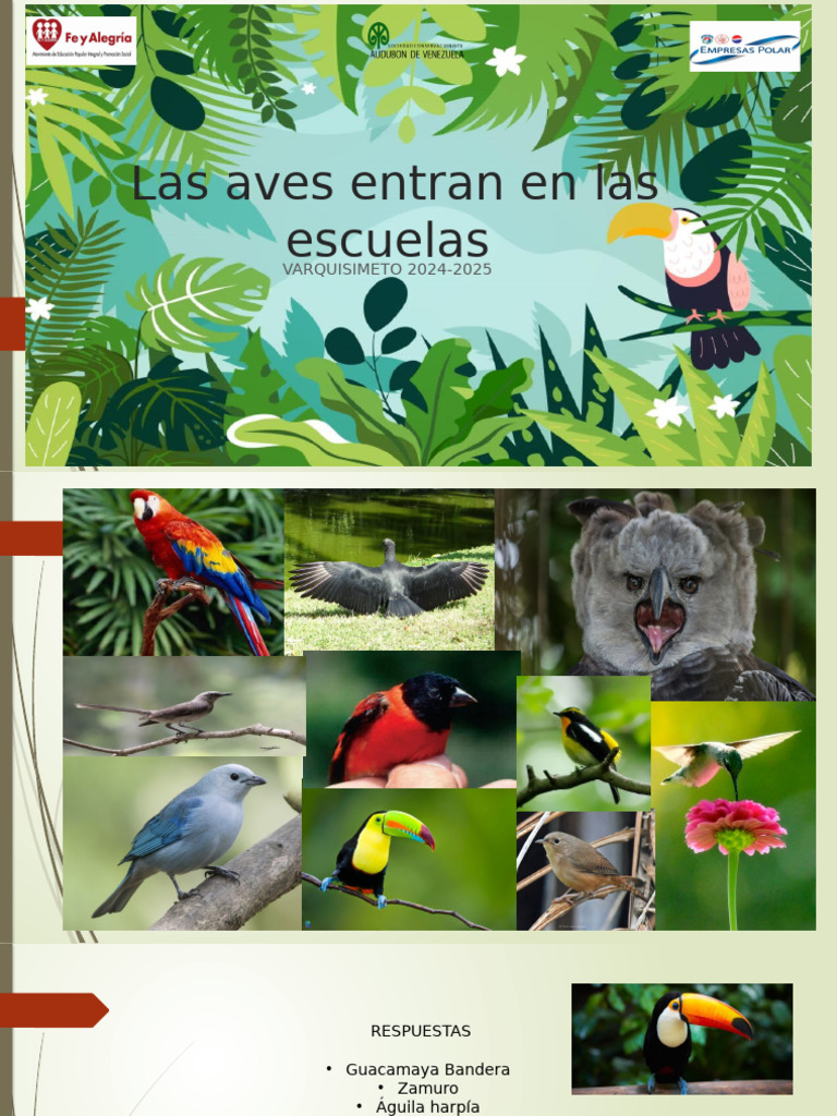 Aves de Venezuela y su Conservación | PDF | Aves | Venezuela