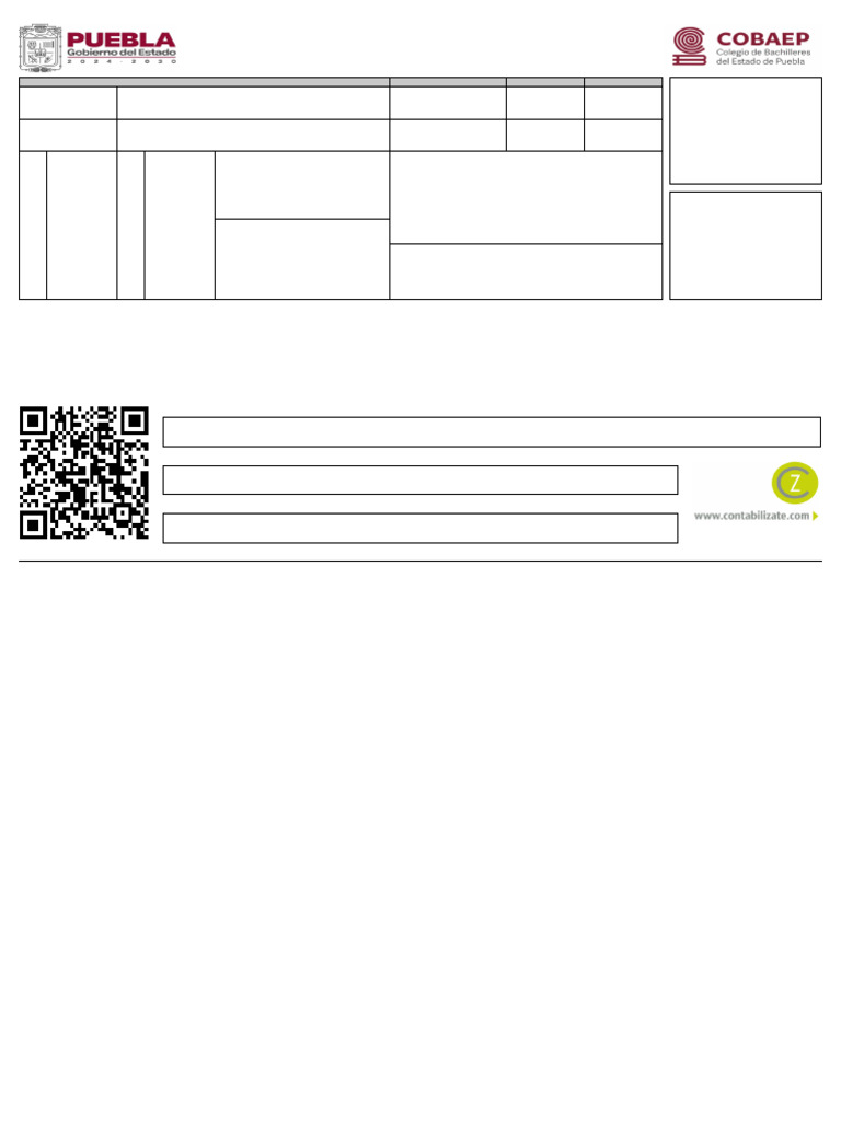 Ejemplo Boleta | PDF | Microeconomía