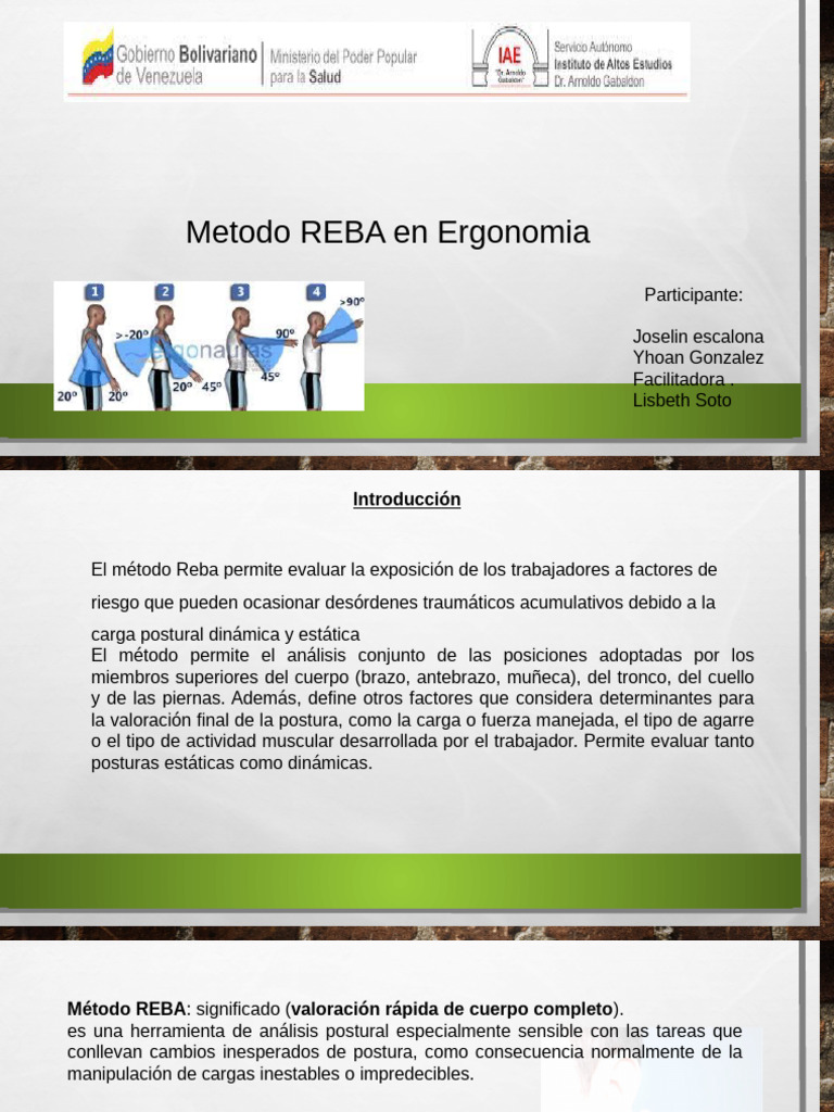 Presentacion de Ergonomia FINAL | PDF