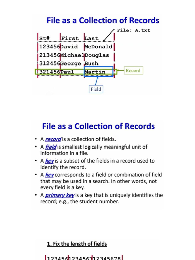 File Processing L3and L4 | PDF
