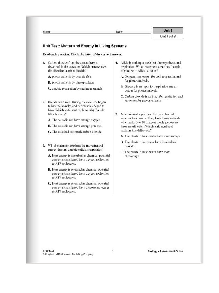 Biology Unit 3 Test B | PDF