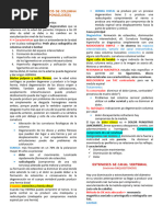 Compresion Radicular. | PDF | La columna vertebral | Sistema ...