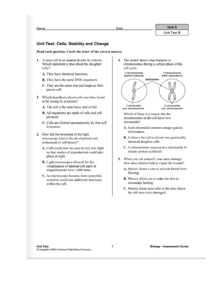 Biology Unit 5 Test B | PDF