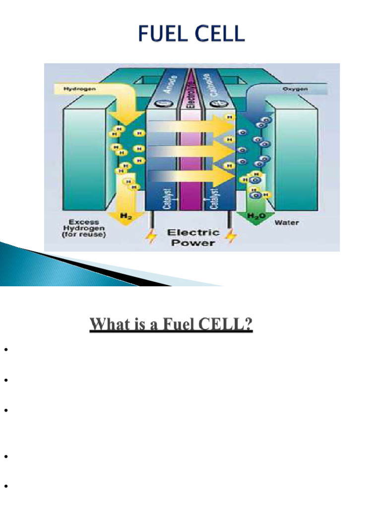 Fuel Cell and MHD Principle | PDF | Fuel Cell | Anode