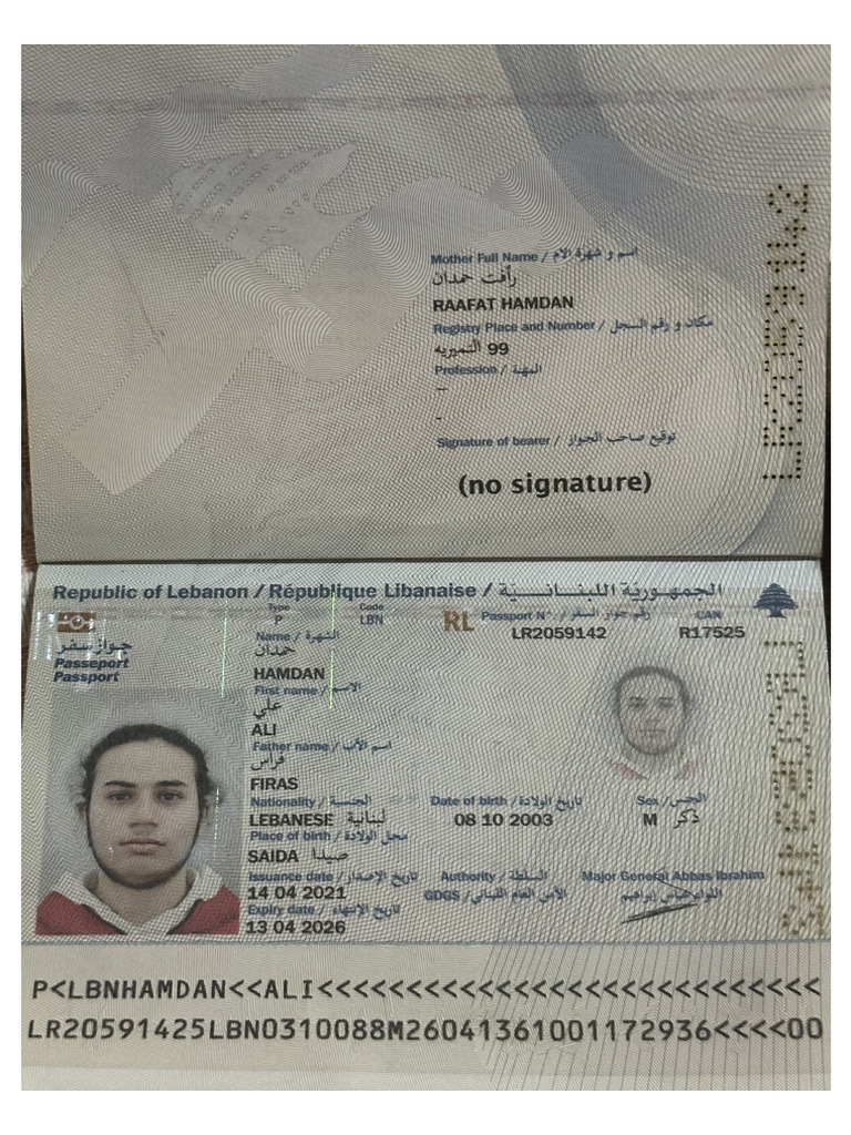 Ali Hamdan | PDF