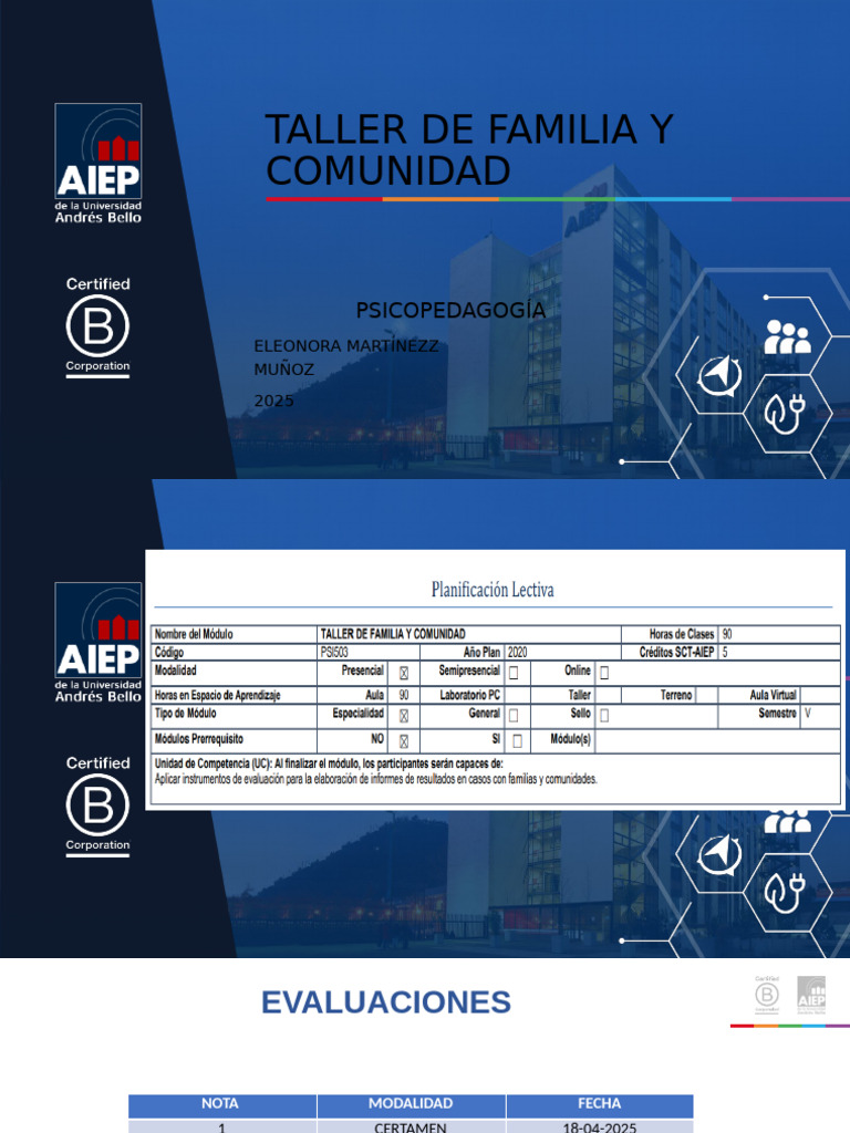 TALLER DE FAMILIA Y COMUNIDAD Unidad I | PDF | Familia | Parentesco