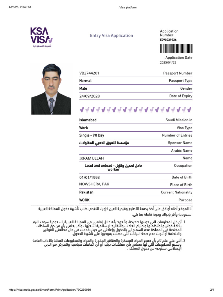 Visa platform (1) (1) | PDF