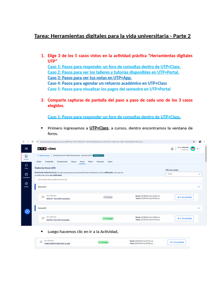 IVU Actividad3 MariellaCordova | PDF