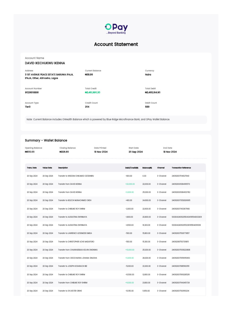 David Ikechukwu Ikenna - 9029508891 - 20241119110903 | PDF | Debits And Credits | Typographical ...
