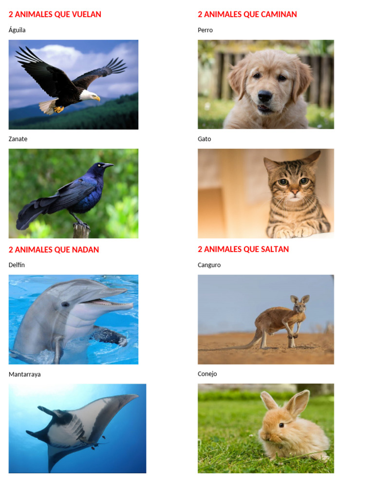 Animales Que Vuelan Nadan Y Caminan Pdf