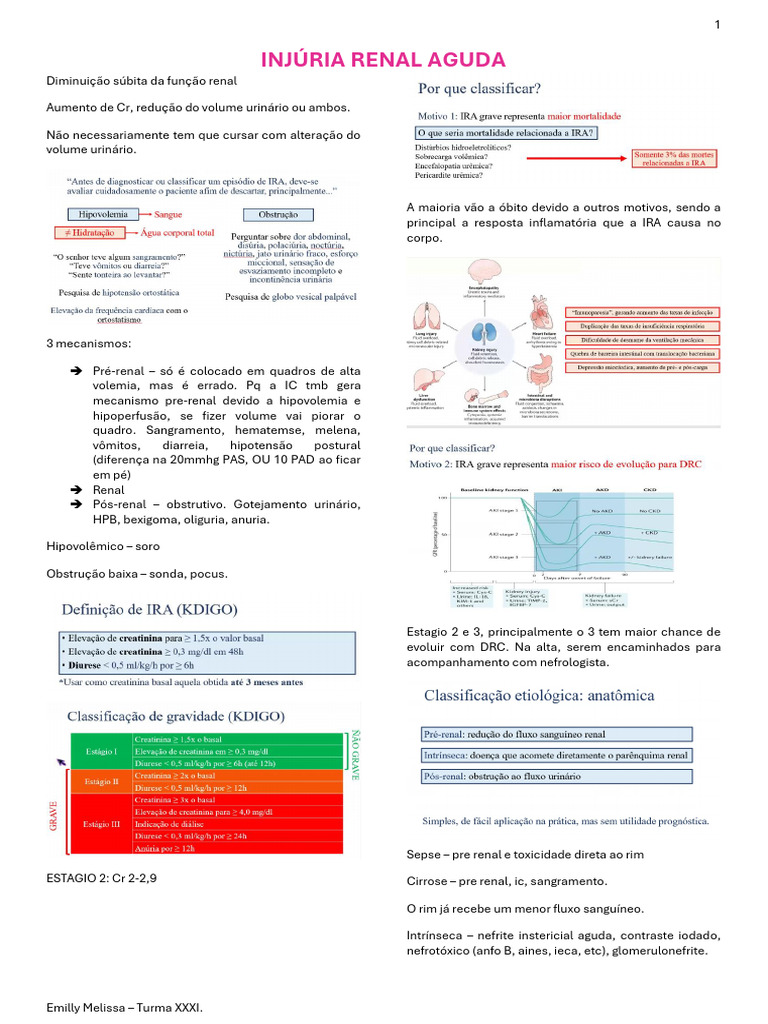 Injúria Renal Aguda | PDF | Rim | Especialidades médicas