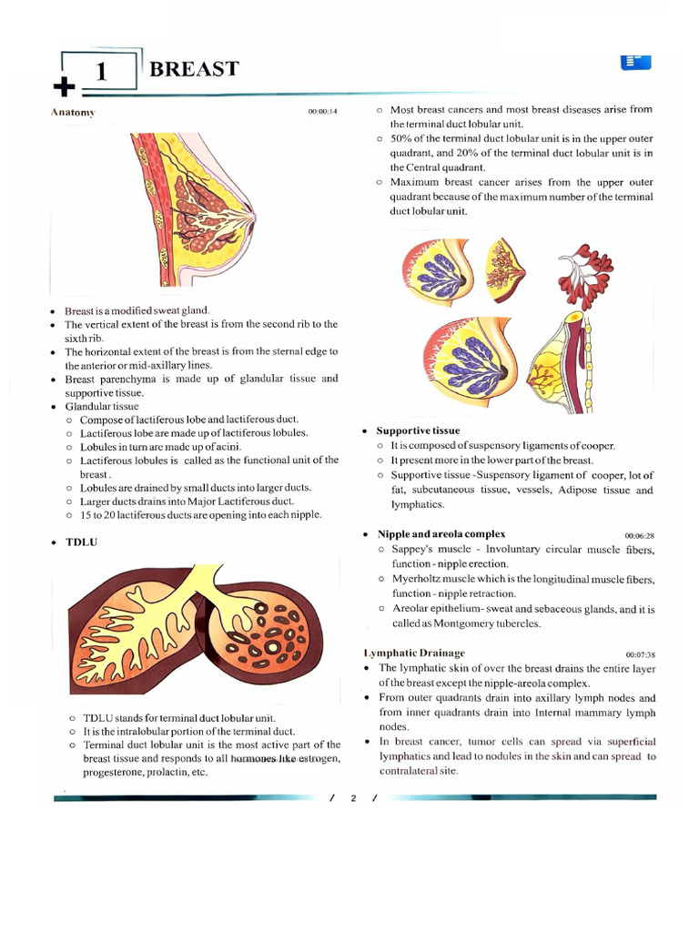 Prep Ss Surgery From PREP SS SURGERY PART 1 | PDF
