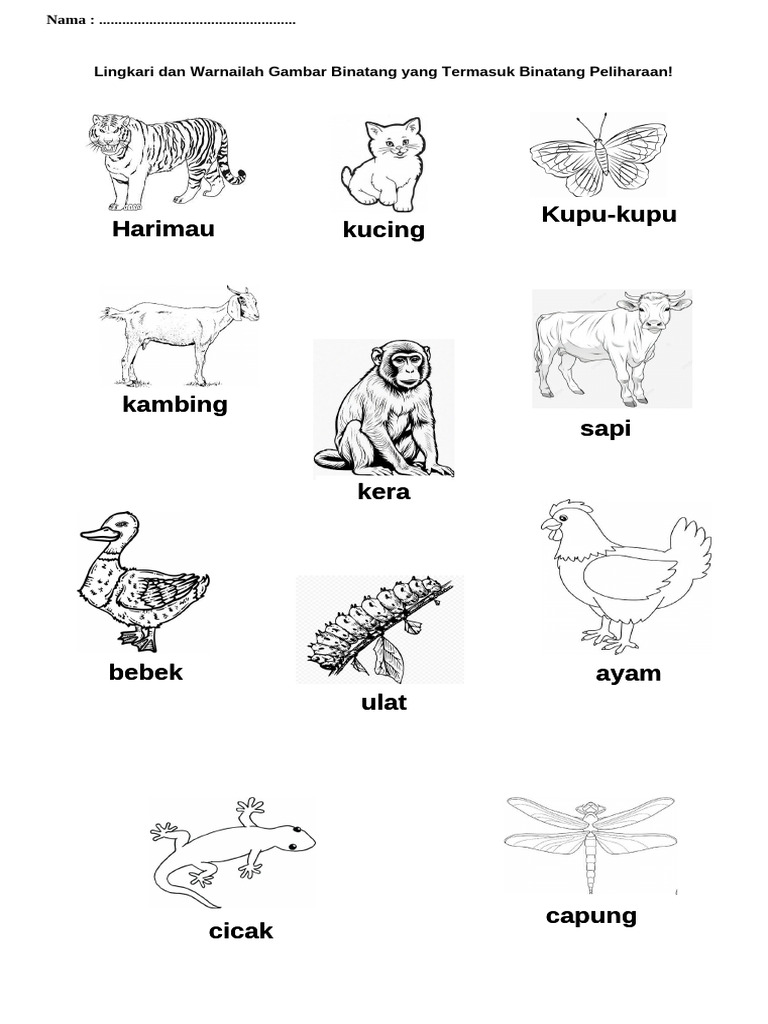 Lingkari Dan Warnailah Gambar Binatang Yang Termasuk Binatang ...