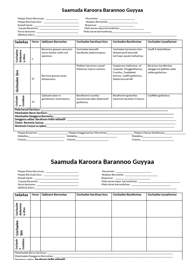New Sample of Lesson Plan | PDF | Teachers | Procedural Knowledge